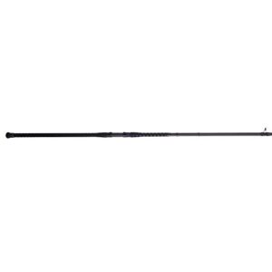 PENN Fishing Squadron III Surf Conventional Fishing Rod, Titanium/Red/Gold, 12' - Heavy - 2pc (SQDSFIII2040C12)