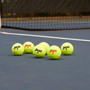 Penn Championship Tennis Balls - Extra Duty Felt Pressurized Tennis Balls - 6 Cans, 18 Balls