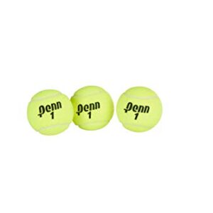 Penn Championship Tennis Balls - Extra Duty Felt Pressurized Tennis Balls - 6 Cans, 18 Balls