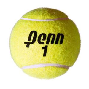 Penn Championship Tennis Balls - Extra Duty Felt Pressurized Tennis Balls - 6 Cans, 18 Balls