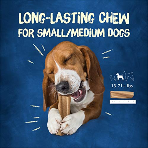 Purina Busy Bone Made in USA Facilities, Long Lasting Small/Medium Breed Adult Dog Chews, Peanut Butter Flavor - 10 ct. Pouch