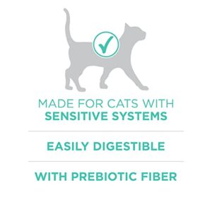 Purina ONE Sensitive Stomach, Sensitive Skin, Natural Dry Cat Food, +Plus Sensitive Skin and Stomach Formula - 16 lb. Bag