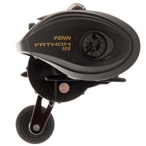 Penn Fathom Low Profile Reel Black Gold 13.9 oz