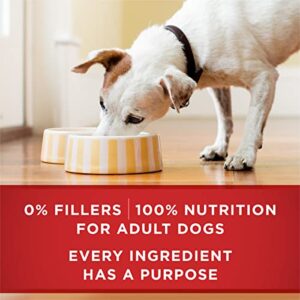 Purina ONE Tender Cuts in Gravy Beef and Barley Entree in Wet Dog Food Gravy - (12) 13 oz. Cans