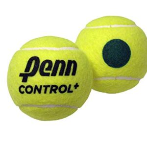 Penn Control Plus Tennis Balls - Youth Felt Green Dot Tennis Balls for Beginners - 12 Ball Polybag