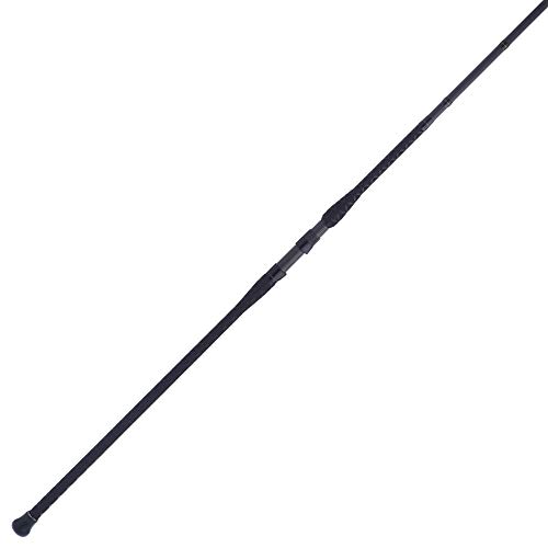 PENN 10’ Battalion II Surf Conventional Casting Rod, 12-20lb Line Rating, 2-Piece Graphite Composite Fishing Rod, Black/Gold