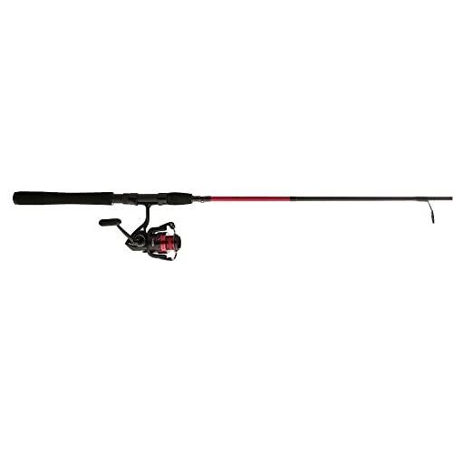 PENN Fierce IV Spinning Reel and Fishing Rod Combo, Black/Red