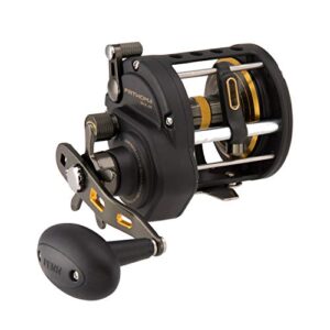 penn fishing fthii30lw spinning rod & reel combos, black gold (1481311)