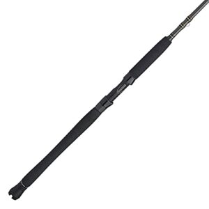 penn carnage iii inshore spinning fishing rod