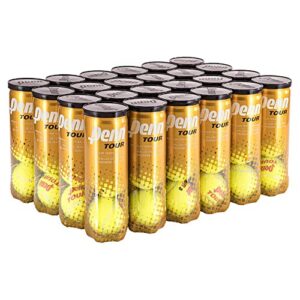 penn atp regular duty tennis balls (case)