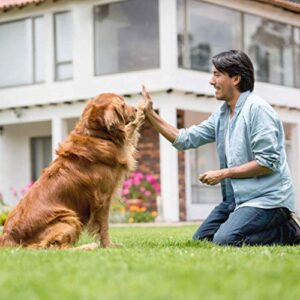 BestPet 8 x 4 x 6 Ft Dog Kennel Outdoor Dog Pen Playpen House Heavy Duty Dog Crate Metal Galvanized Welded Pet Animal Camping Cage Fence with UV-Resistant Waterproof Cover and Roof