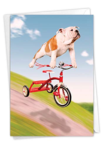 NobleWorks - 1 Adorable Birthday Card Funny - Pet Dog Animal Humor, Bday Notecard with Envelope - Dog on Trike C3204BDG