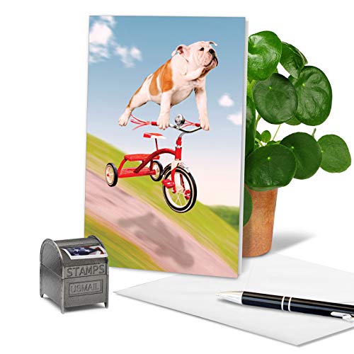 NobleWorks - 1 Adorable Birthday Card Funny - Pet Dog Animal Humor, Bday Notecard with Envelope - Dog on Trike C3204BDG