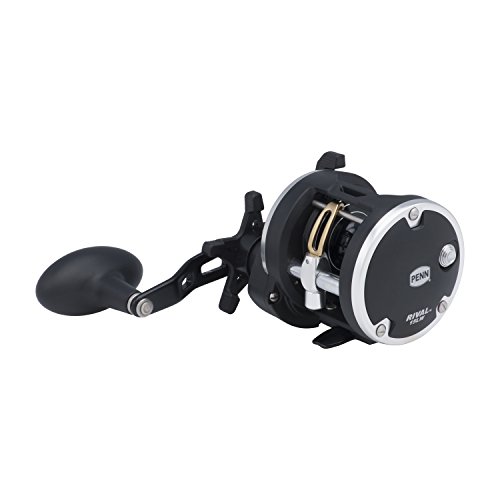 Penn RIV30LWCP Rival Level Wind,Black/Silver