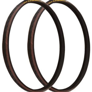 Continental GatorSkin DuraSkin Tire, 2-Count (Folding, 700 x 32mm)