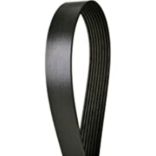 Continental 4081261 Serpentine Belt , black