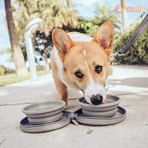 CUDLY PortaBowl - Portable Dog Bowl, Collapsible Dog Bowls, Travel Dog Bowls, Portable Water Bowl for Dog | Collapsable Doggy Bowl, Foldable Dog Bowl, Collapsible Bowls for Camping, Dog Bowl Travel