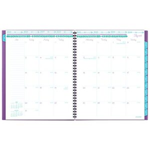 AT-A-GLANCE Academic Year Monthly Planner/Appointment Book, July 2016 - June 2017, 8-1/2"x11", Design Selected for You May Vary (183-900A)