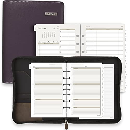 AT-A-GLANCE 2023 Daily Planner Refill, Hourly, 14010 Day-Timer, 8-1/2" x 11", Size 5, Folio Size, One Page Per Day, Loose Leaf, Monthly Tabs (491-125)