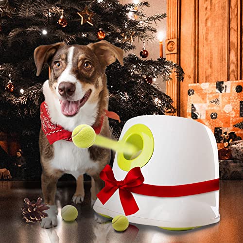 AFP Automatic Dog Ball Launcher Automatic Ball Launcher for Dogs Interactive Puppy Pet Ball Indoor Thrower Machine Fetch Machine for Small and Medium Size Dogs, 3 Balls Included (2 inch)