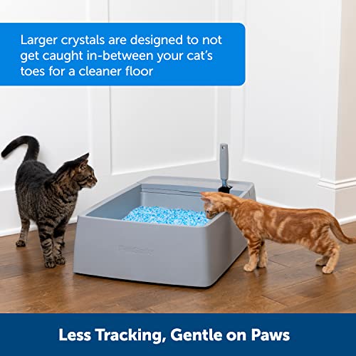 PetSafe ScoopFree Premium Crystal Cat Litter - 5x Better Odor Control Than Clay Litter - Less Tracking & Dust For A Fresh Home - Non-Clumping - Two 4.3 lb Bags Of Litter (8.6 lb Total) - Lavender