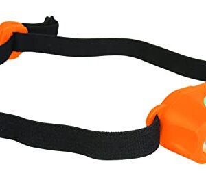 Coleman Kids Mini LED Headlamp - Colors May Vary