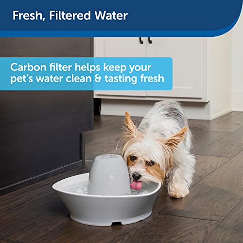 PetSafe Drinkwell Replacement Carbon Filters, Dog and Cat Ceramic and 2 Gallon Water Fountain Filters, 12-Pack