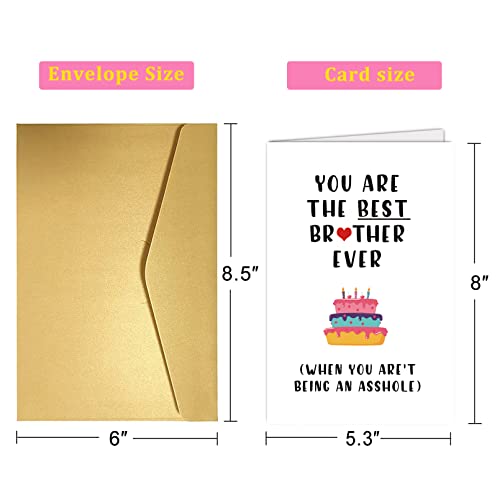 Funny Birthday Card for Brother, Joke Happy Birthday Greetings Cards for Brother, You Are The Best Brother (Cake)