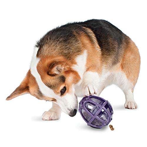 PetSafe Busy Buddy Kibble Nibble Meal Dispensing Dog Toy, Small - PTY00-13739,purple