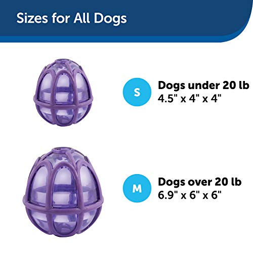 PetSafe Busy Buddy Kibble Nibble Meal Dispensing Dog Toy, Small - PTY00-13739,purple