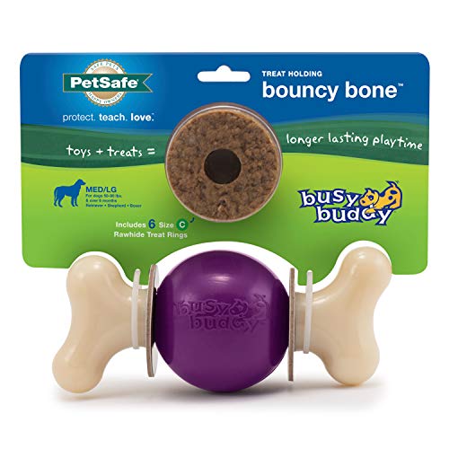 PetSafe Busy Buddy Bouncy Bone - Treat-Holding Toys for Dogs - Scented for Enhanced Sensory Stimulation - Rigorously Tested Ingredients - For Aggressive Chewers - Treat Refills Available - Purple, M/L