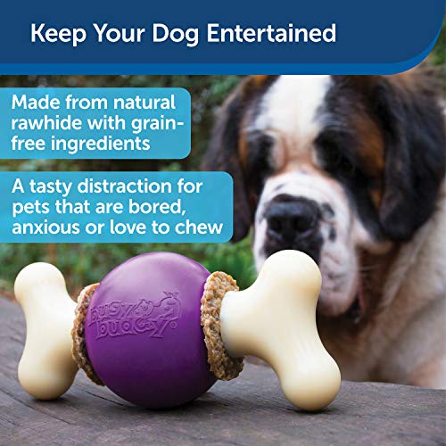 PetSafe Busy Buddy Bouncy Bone - Treat-Holding Toys for Dogs - Scented for Enhanced Sensory Stimulation - Rigorously Tested Ingredients - For Aggressive Chewers - Treat Refills Available - Purple, M/L