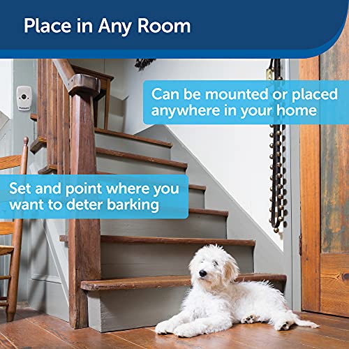 PetSafe Single Room Indoor Dog Bark Control - Ultrasonic Device to Deter Barking Dogs - No Collar Needed - Up to 25 ft Range - Automatic Anti-Bark Pet System