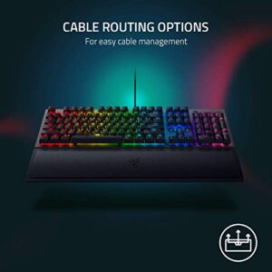 Razer BlackWidow V3 Mechanical Gaming Keyboard: Green Mechanical Switches - Tactile & Clicky - Chroma RGB Lighting - Compact Form Factor - Programmable Macro Functionality (Renewed)