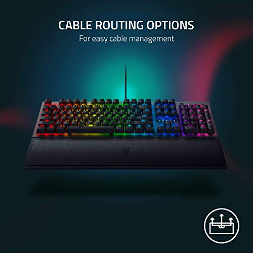 Razer BlackWidow V3 Mechanical Gaming Keyboard: Green Mechanical Switches - Tactile & Clicky - Chroma RGB Lighting - Compact Form Factor - Programmable Macro Functionality (Renewed)