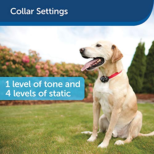 Petsafe Extra Receiver Collar For Pif-300