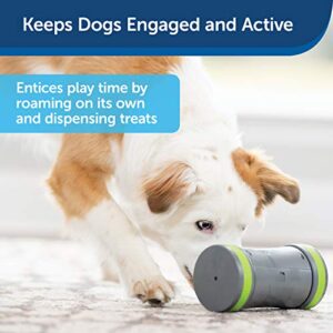 PetSafe Kibble Chase - Electronic & Interactive Dog Treat Dispensing Toy, Encourages Play Time, Adjustable Opening, 10 Minutes Play and Rest, Holds 1/2 Cup of Treats, Durable Plastic