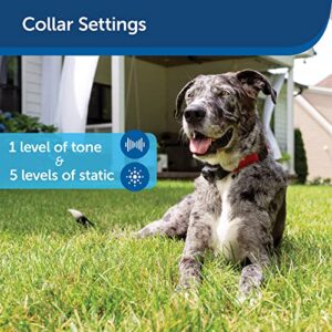 PetSafe In-Ground Pet Fence for Dogs and Cats Over 8 lb - from The Parent Company of Invisible Fence Brand - Includes Lightweight Waterproof Collar with Tone and Static Correction