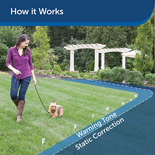 PetSafe In-Ground Pet Fence for Dogs and Cats Over 8 lb - from The Parent Company of Invisible Fence Brand - Includes Lightweight Waterproof Collar with Tone and Static Correction