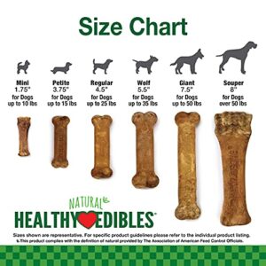 Nylabone Healthy Edibles Puppy Natural Long Lasting Dog Chew Treats Lamb & Apple Small/Regular (3 Count)