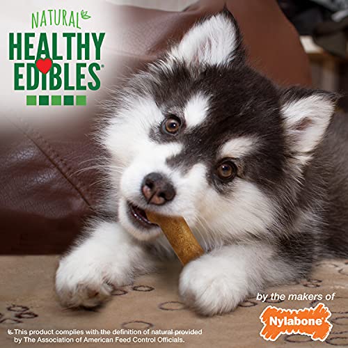 Nylabone Healthy Edibles Puppy Natural Long Lasting Dog Chew Treats Lamb & Apple Small/Regular (3 Count)