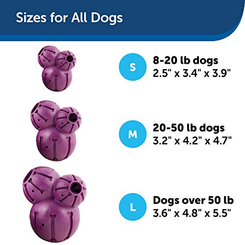 PetSafe Busy Buddy Barnacle - Dog Chew Toy - Treat Dispensing Dog Toys Purple Large