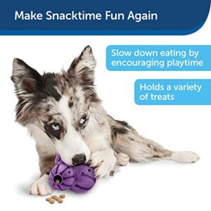 PetSafe Busy Buddy Barnacle - Dog Chew Toy - Treat Dispensing Dog Toys Purple Large