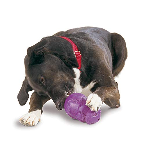 PetSafe Busy Buddy Squirrel Dude Dog Toy - Treat Dispensing Toy – Extra Small, Small, Medium and Large Sizes