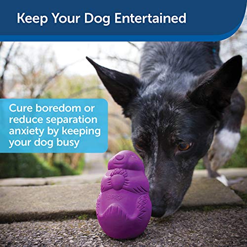 PetSafe Busy Buddy Squirrel Dude Dog Toy - Treat Dispensing Toy – Extra Small, Small, Medium and Large Sizes