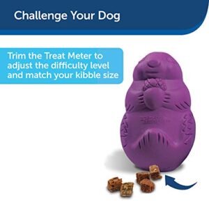 PetSafe Busy Buddy Squirrel Dude Dog Toy - Treat Dispensing Toy – Extra Small, Small, Medium and Large Sizes