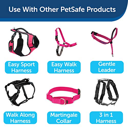 PetSafe Nylon Dog Leash - Strong, Durable, Traditional Style Leash with Easy to Use Bolt Snap - 3/4 in. x 6 ft, Raspberry Pink