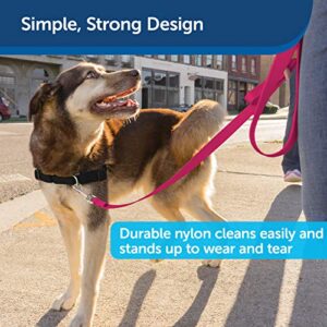 PetSafe Nylon Dog Leash - Strong, Durable, Traditional Style Leash with Easy to Use Bolt Snap - 3/4 in. x 6 ft, Raspberry Pink