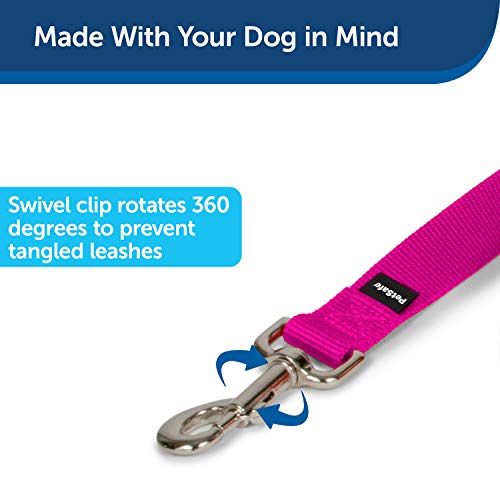 PetSafe Nylon Dog Leash - Strong, Durable, Traditional Style Leash with Easy to Use Bolt Snap - 3/4 in. x 6 ft, Raspberry Pink