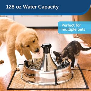 PetSafe Stainless 360 Pet Fountain - 1 Gallon (128 oz) Dog and Cat Water Fountain - Water Filters Remove Hair - Water Dispenser Entices Pets to Drink - Customizable Cat and Dog Water Bowl Dispenser